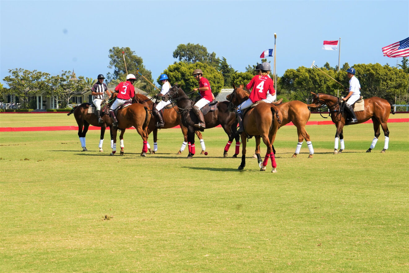 Celebrating Life Launch Event - Recap - Celebrating Life